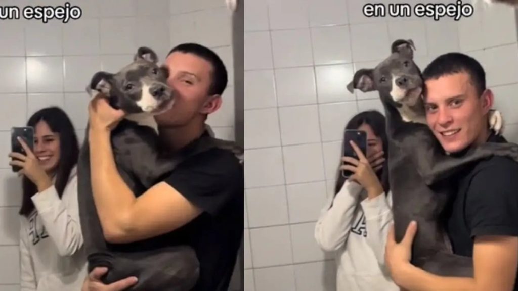 La curiosa reacción de una perrita al verse en un espejo por primera vez